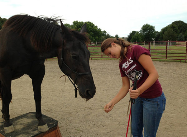 What is Equine-Assisted Learning? - Strides to Success