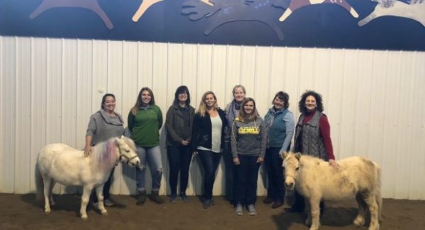 Approved Horsework Facilitators - Strides to Success