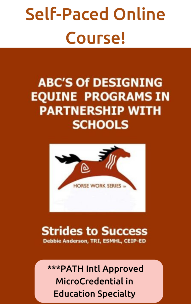 ABC's Of School Programs Online Course - Strides to Success